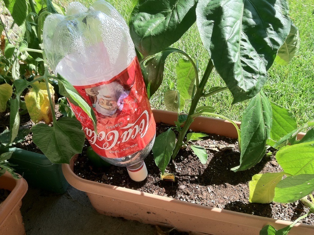 Free STL file Watering spike for 2L bottle・3D printing template to ...