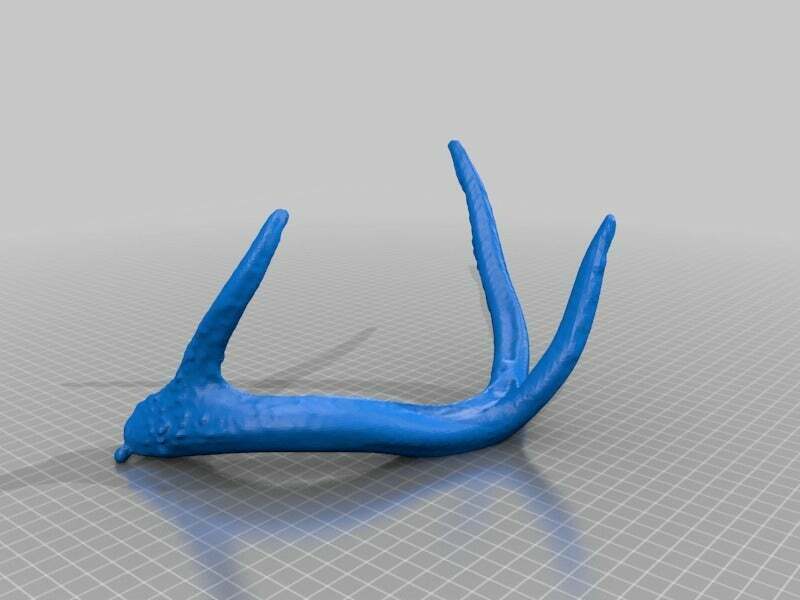 Free STL file Antler 2 of 2 🩻・3D printer model to download・Cults