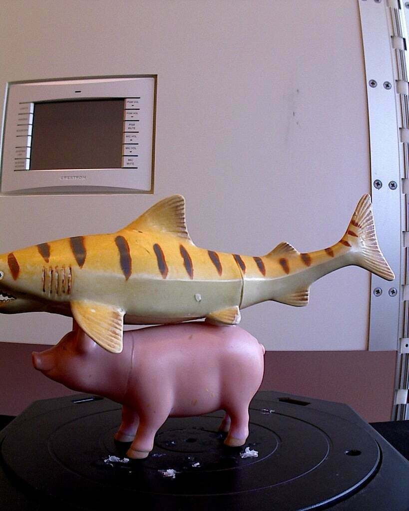 Free STL file PigShark・3D printing model to download・Cults