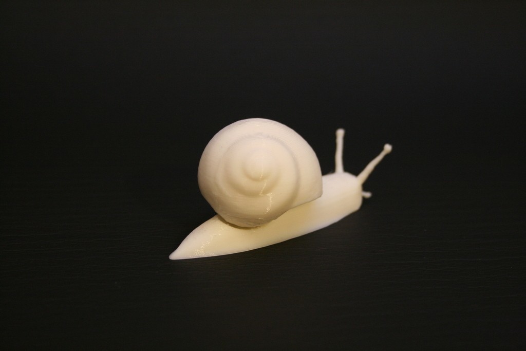 Free STL file Realistic garden snail・Object to download and to 3D print ...