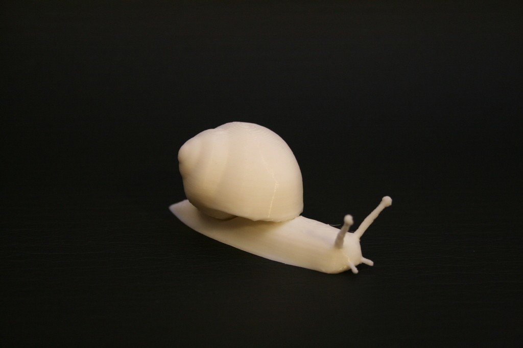 Free STL file Realistic garden snail・Object to download and to 3D print ...
