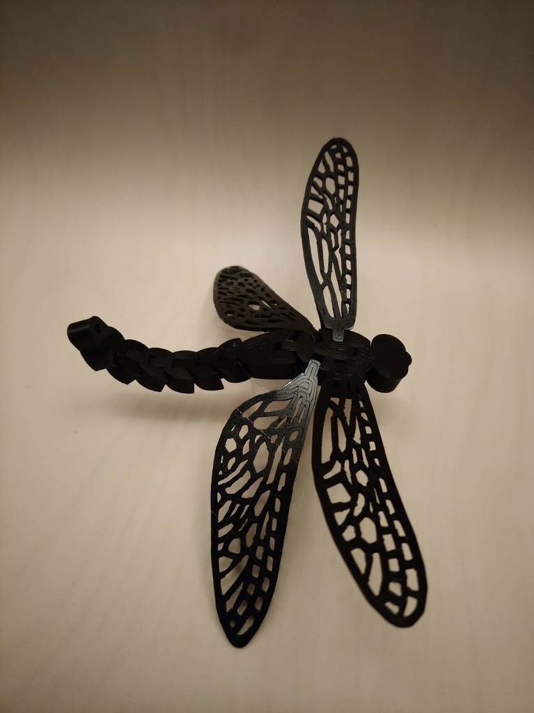 Free STL file Floppy Dragonfly・3D print model to download・Cults