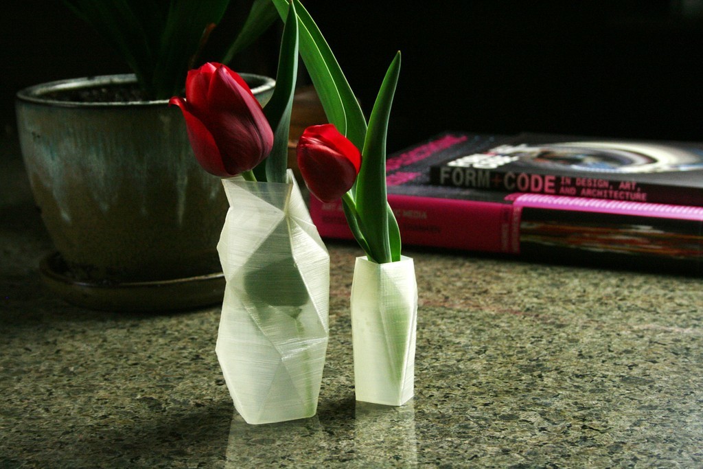 Free STL file Squiggle Vases・3D printable design to download・Cults
