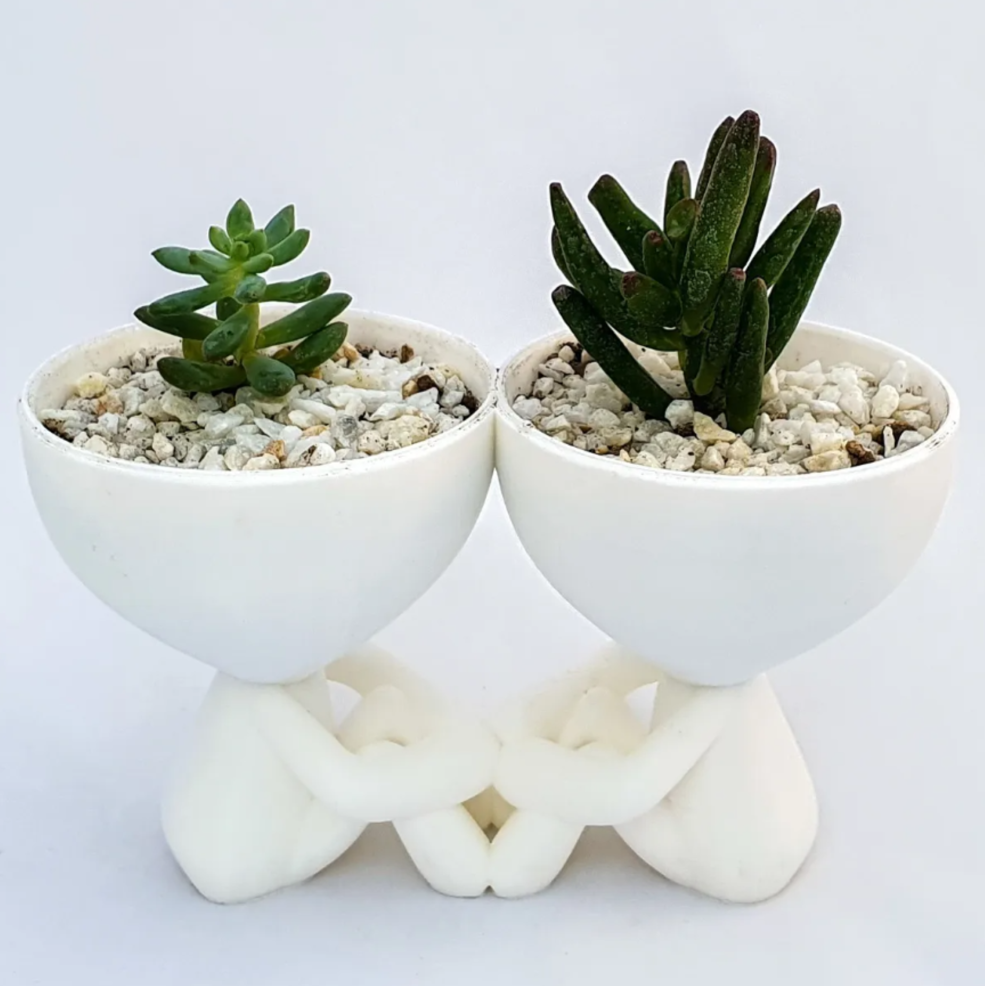 STL file Lovely Robert Planter - Valentines - Doble Planter ...