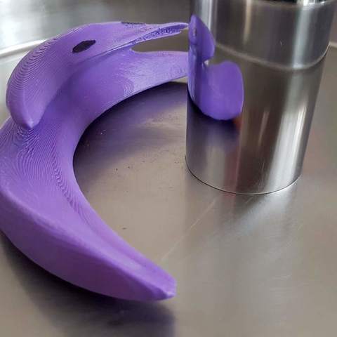 Download free STL file Anamorphic Rubber Duck ・ Cults