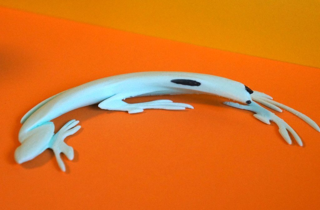 Free STL file Anamorphic Frog・3D print design to download・Cults