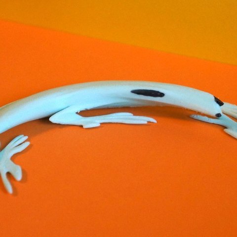 Download free 3D model Anamorphic Frog ・ Cults