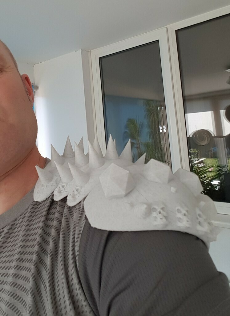 Free 3D file WoW shoulder Armour・3D printing idea to download・Cults