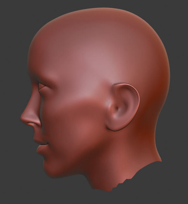 Free STL file female face ♀️・3D printing idea to download・Cults