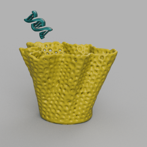 Download 3D printer model Cotton buds container ・ Cults