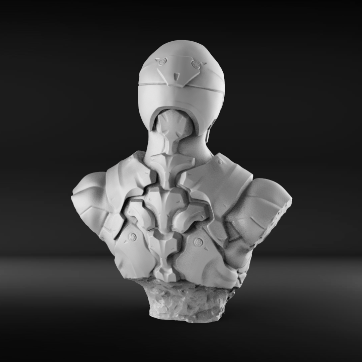STL file Cyborg Ninja Bust・3D printer design to download・Cults