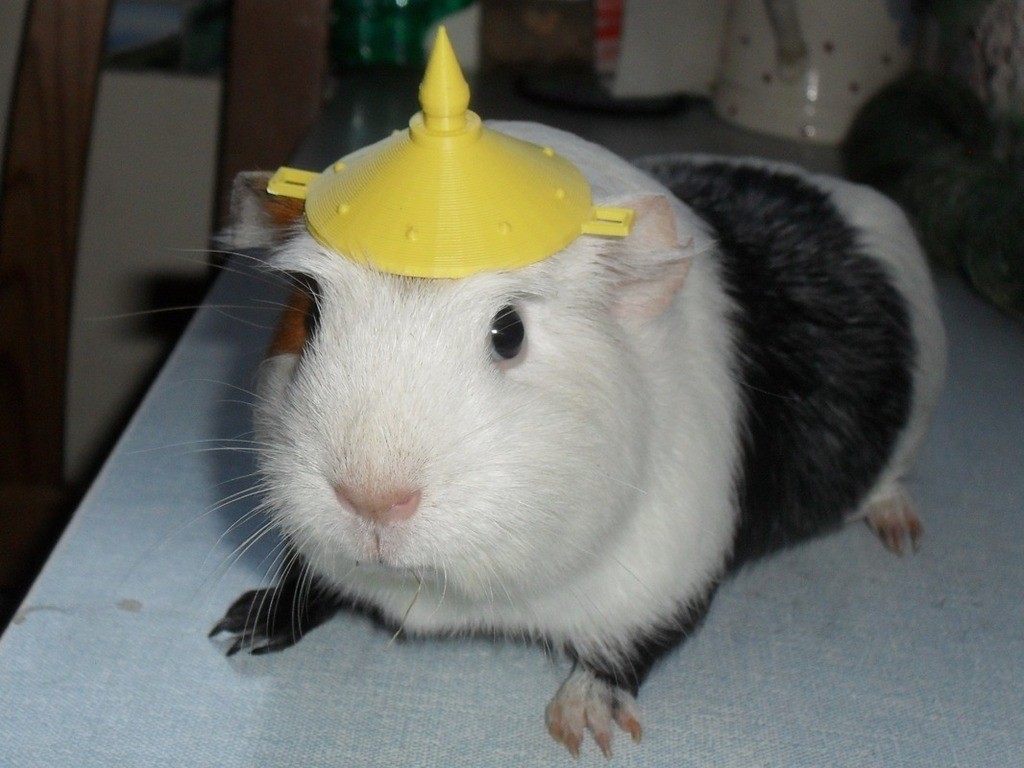 Descargar archivo STL gratis Armadura de combate de cobaya • Plan de la ...