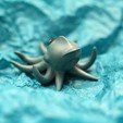 Download STL file Cycloptopus Male • Model to 3D print ・ Cults