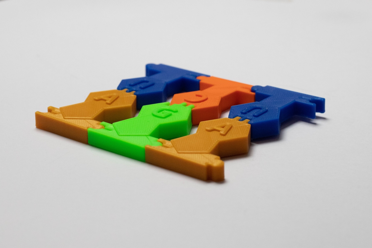 Free STL file DNA/RNA Building Toy Set with Improved Joints・3D printing ...