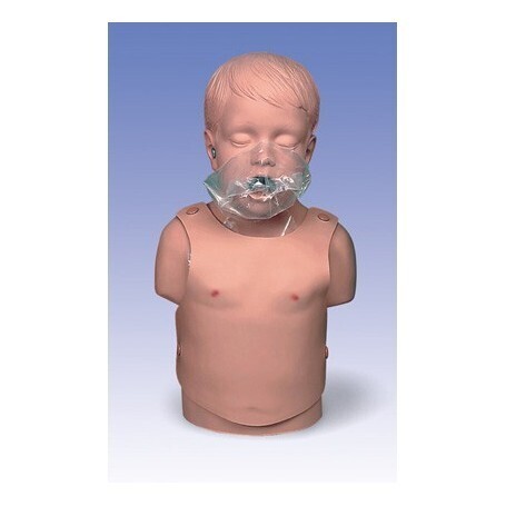 Free STL file Torse RCP Brad Jr. version V2 OpenRescueDoll・3D printable ...