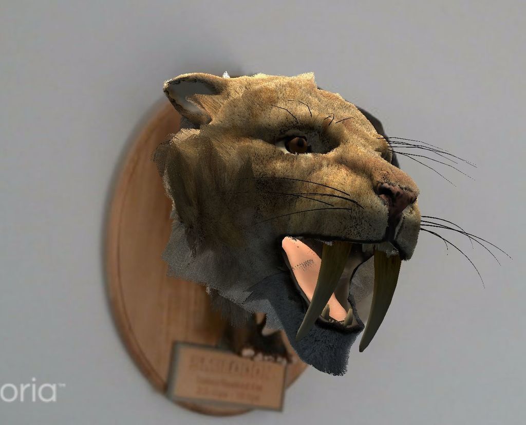 Free STL file Smilodon Skull Fossil - with Augmented Reality app 💀・3D ...