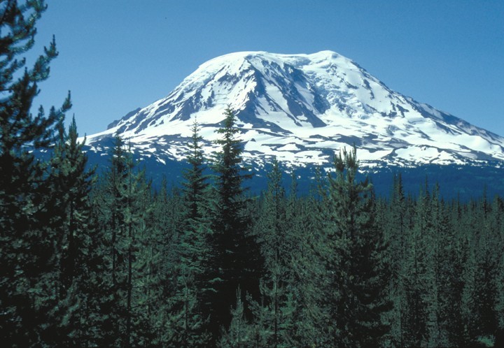 Free STL file Mount Adams・3D printing idea to download・Cults