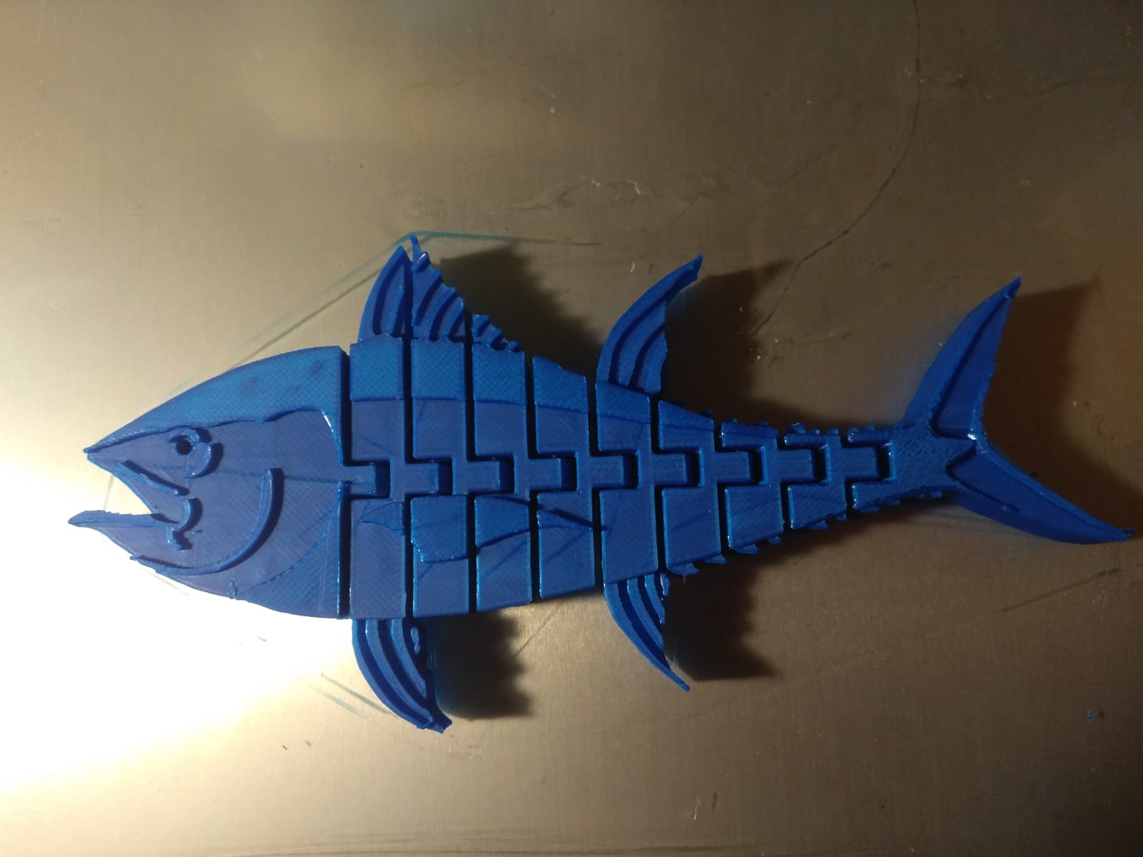 STL file flexi tuna・3D printer design to download・Cults