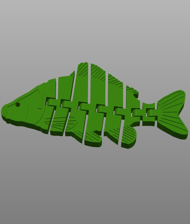 STL file FLEXI CARP・3D print design to download・Cults