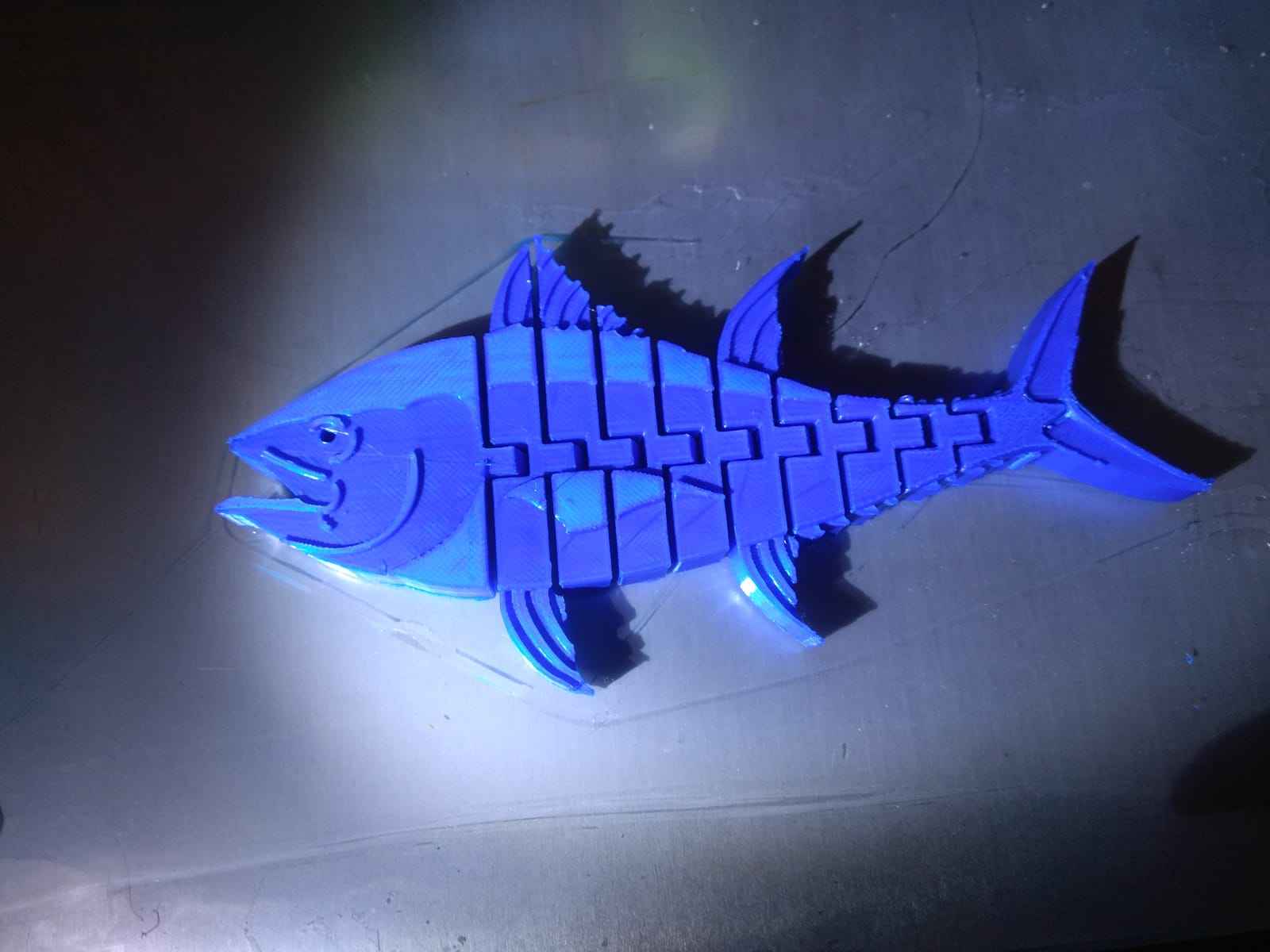 STL file flexi tuna・3D printer design to download・Cults
