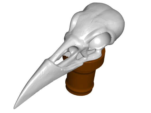 Free STL file Raven Skull Topper ($7 Cane/Walking Hiking Sticks) 🐦 ...