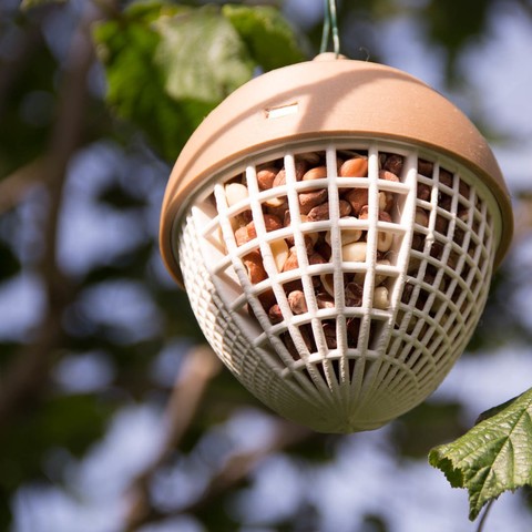 Download 3D printing designs Acorn Bird Feeder ・ Cults