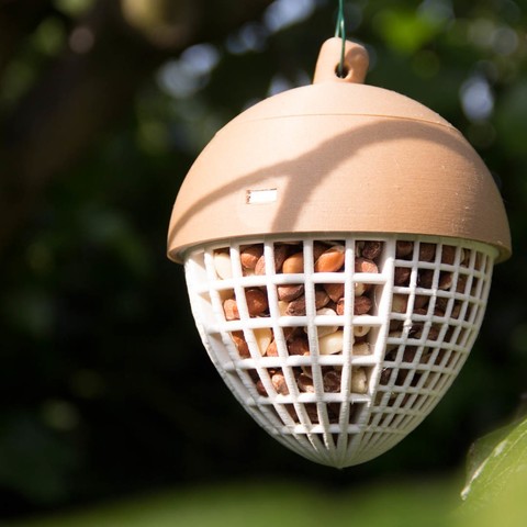 Download 3D printing designs Acorn Bird Feeder ・ Cults