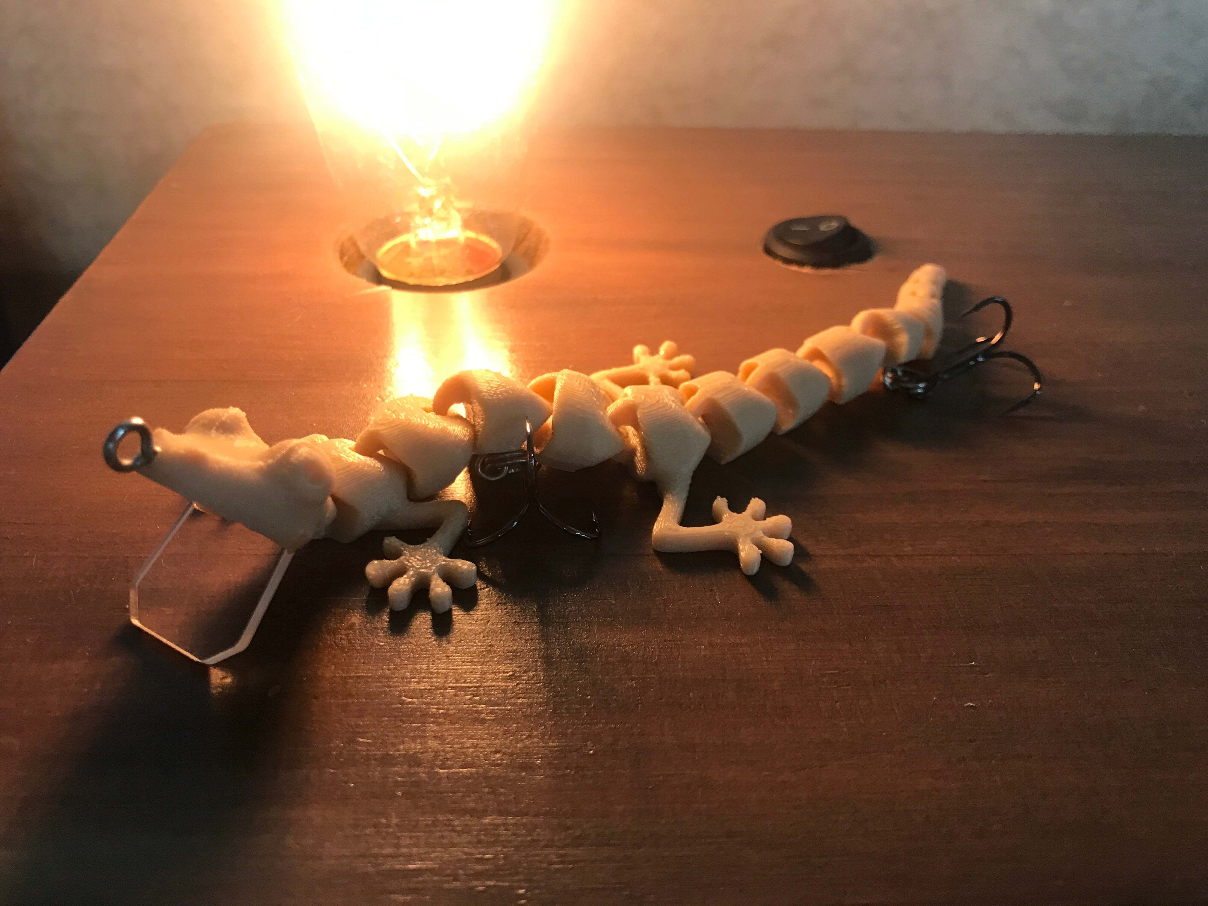 Free STL file Lizard Lure・3D printable model to download・Cults