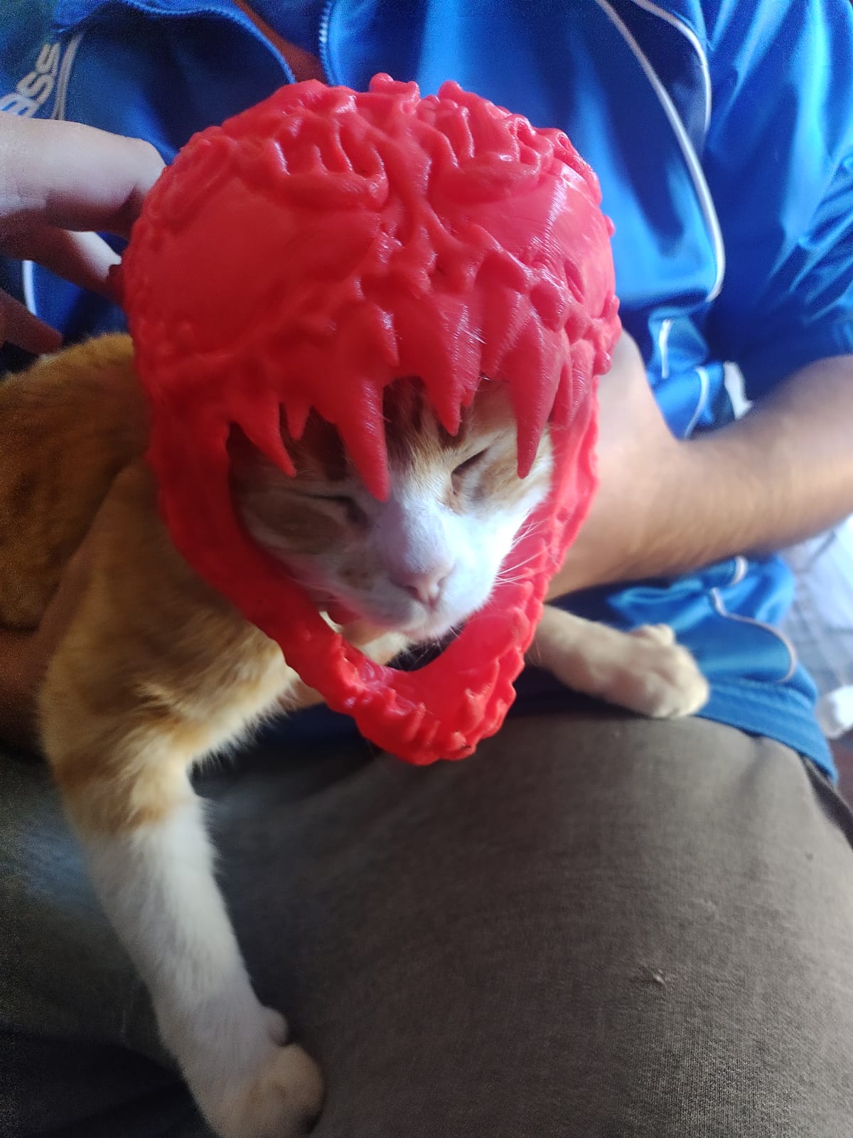 Распечатать в 3D работу CARNAGE CAT - Шлем・Cults