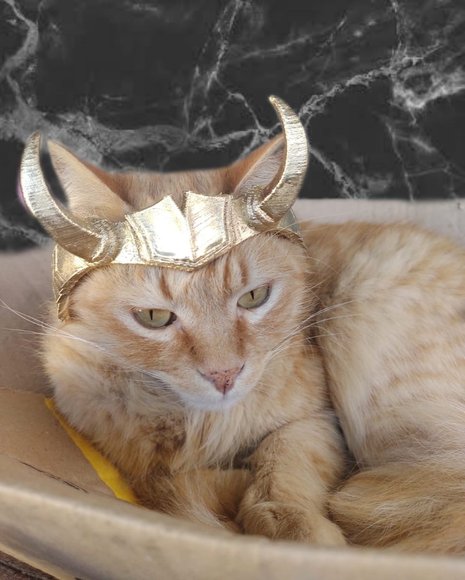 3D printable LADY-LOKI CAT - Diadem・Cults