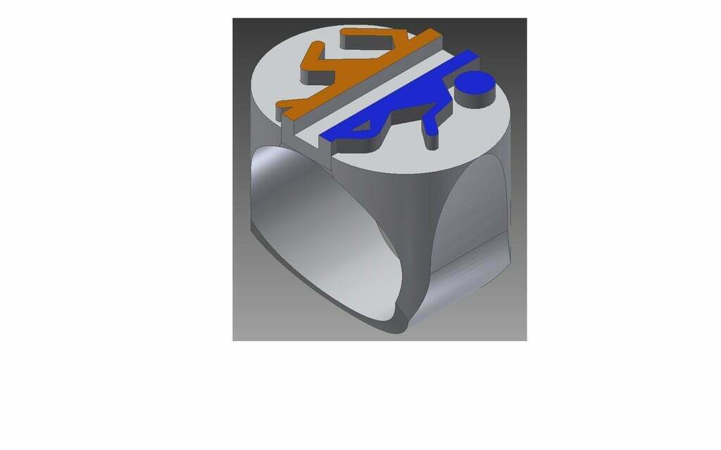 Free STL file Portal 2 RIng・3D printer design to download・Cults