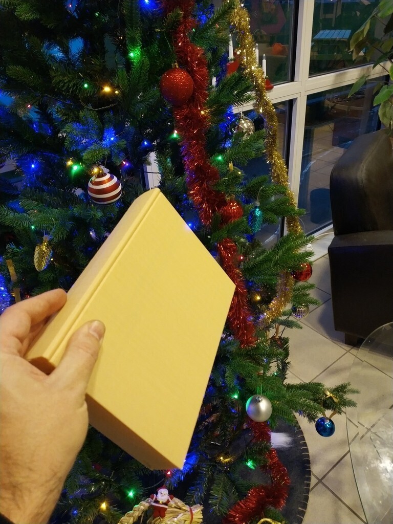 Free STL file Bookshelf Insert - Magic Book 🪄・3D printer model to ...