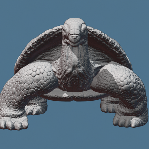 Download 3D printing designs Ancient Tortoise ・ Cults