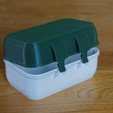 Download free STL file Rugged Storage Box ~ IP52 • 3D printable object ...