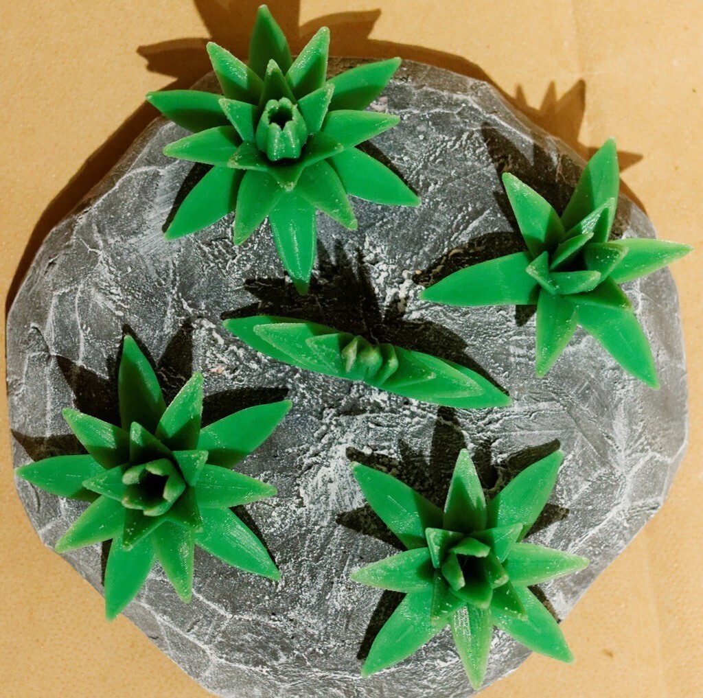 Free STL file Tabletop plant: 5 Agaves Set (different number of leaves ...