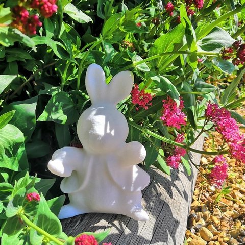 Download free STL file Peter Rabbit • 3D print model ・ Cults