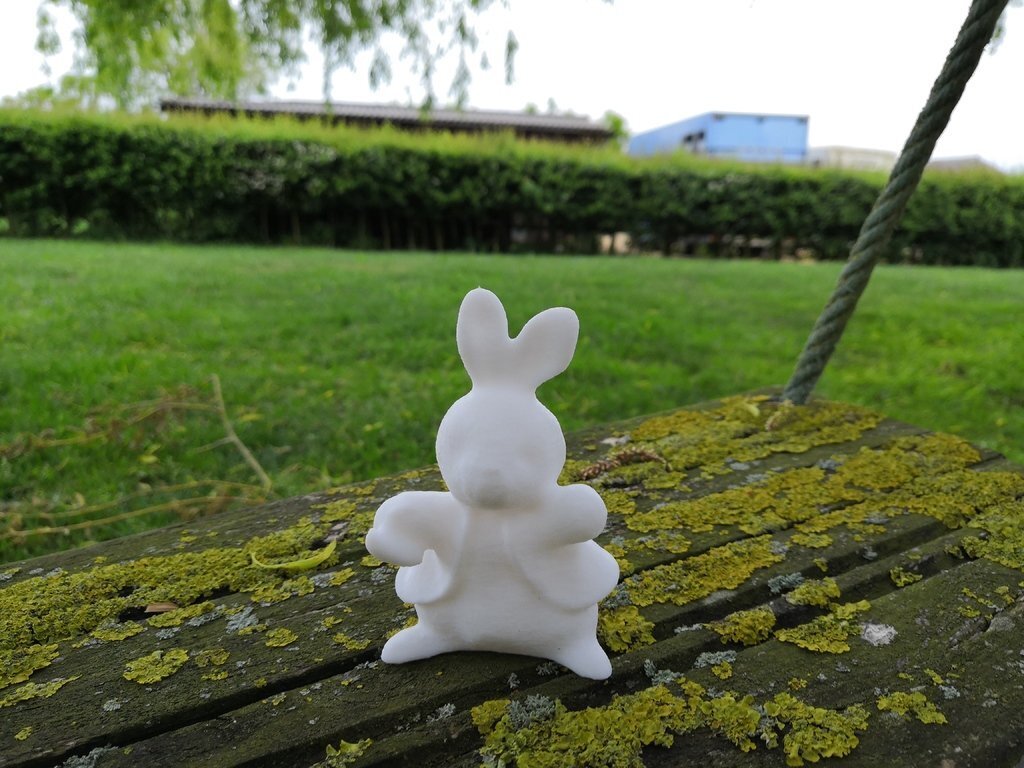 STL file Peter Rabbit・3D print model to download・Cults