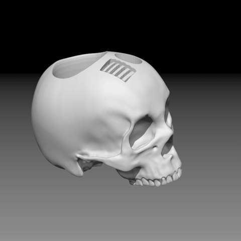 Download STL file Skull ・ Cults
