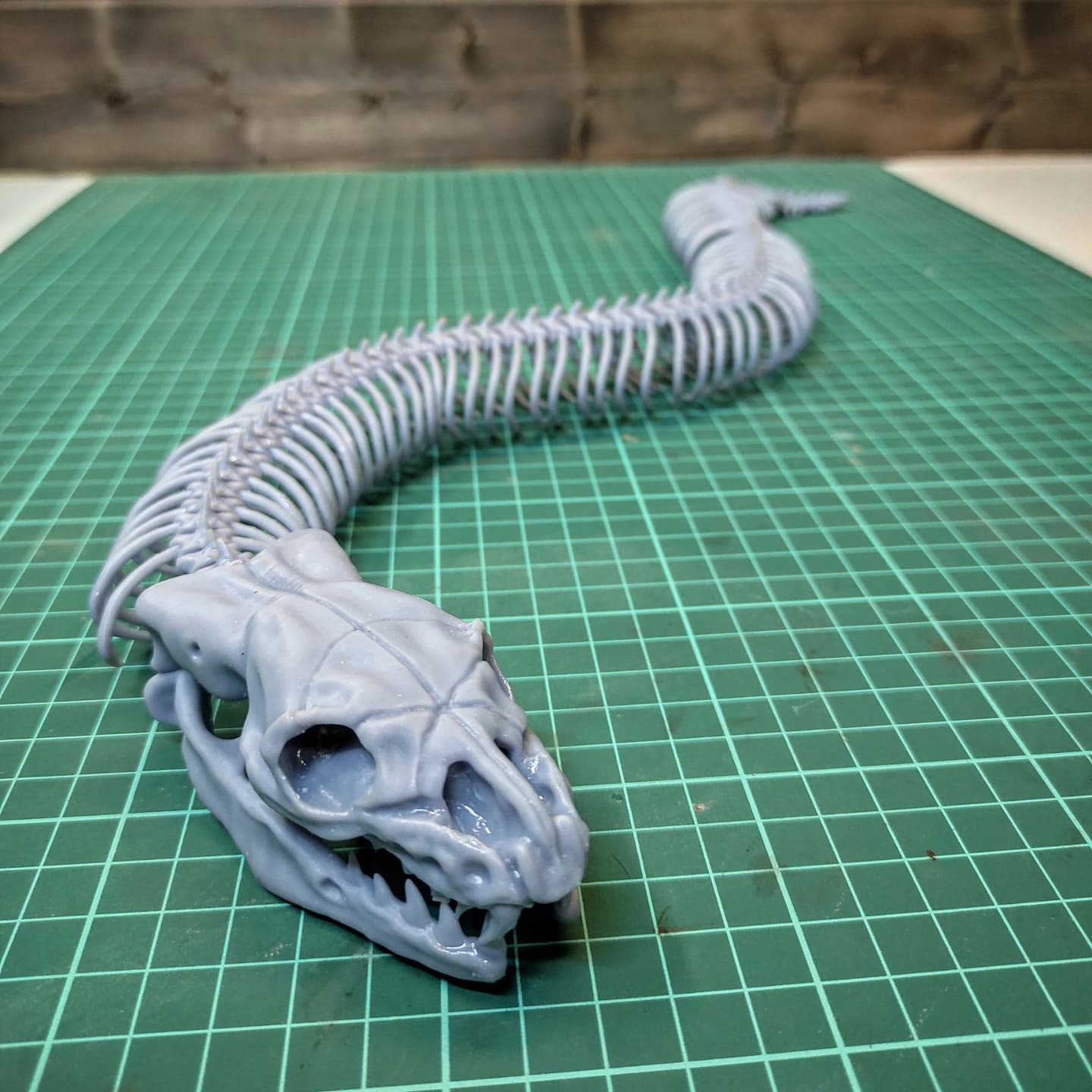 STL file Snake skeleton 🐍・3D printable design to download・Cults