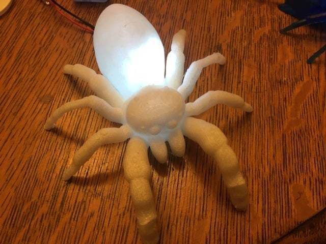 Free STL file Jumping Spider Light 🕷️・3D printing model to download・Cults