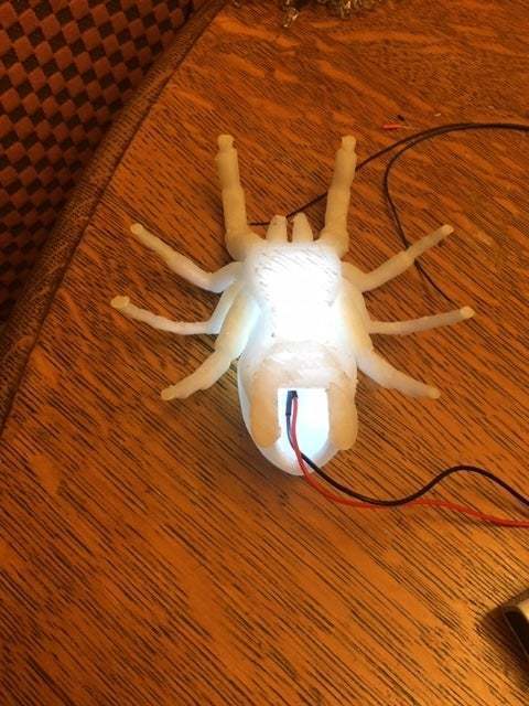Free STL file Jumping Spider Light・3D printing model to download・Cults