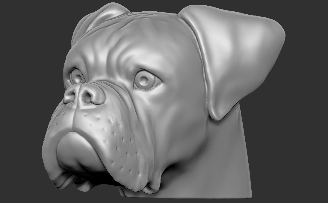 3D-Datei Boxer dog for 3D printing 🐕・Modell zum Herunterladen und 3D ...