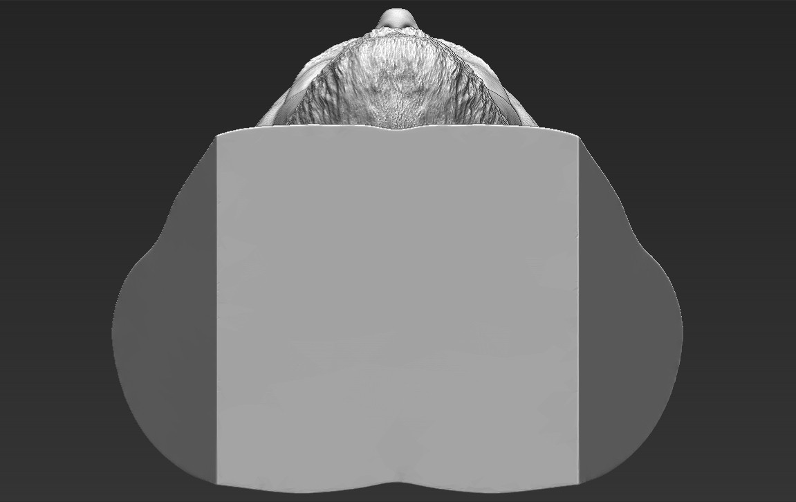 3D-Datei Jesus-Rekonstruktion auf Basis des Turiner Grabtuches 3D-Druck ...