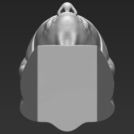 Download STL file Mother Teresa bust 3D printing ready stl obj formats • 3D printing model ・ Cults