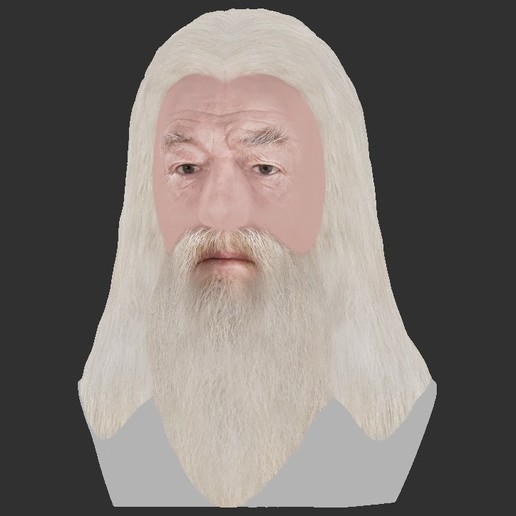 Download 3D printing templates Dumbledore from Harry Potter bust for ...