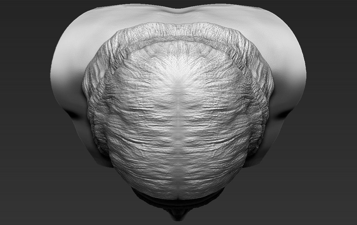 3D-Datei Jesus-Rekonstruktion auf Basis des Turiner Grabtuches 3D-Druck ...