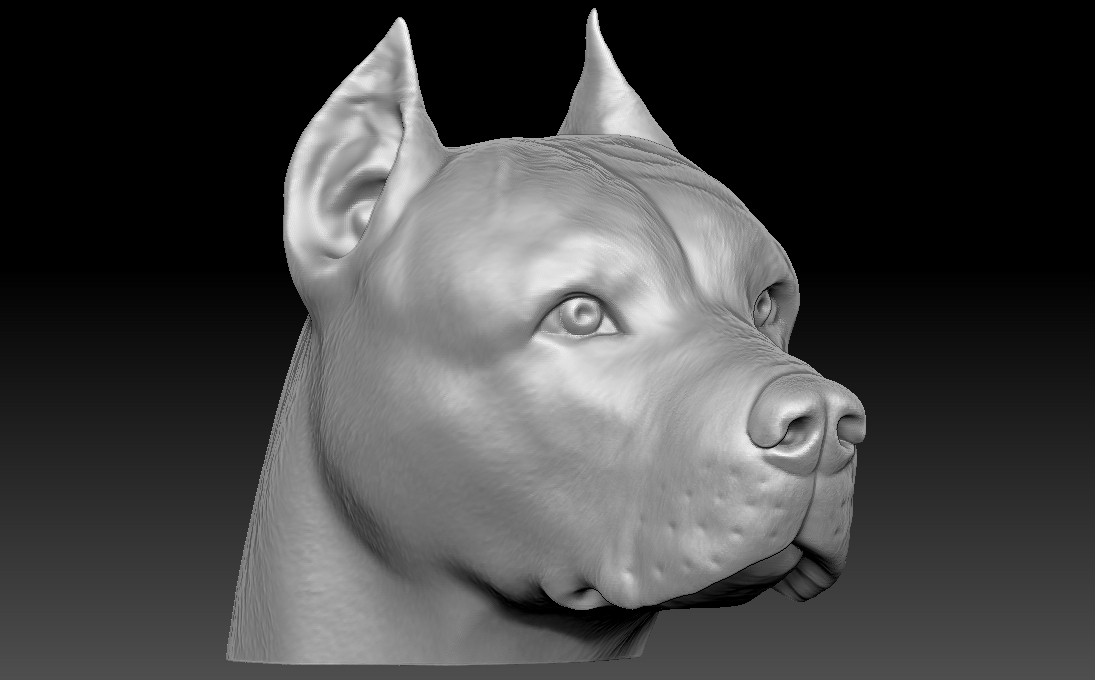 3D file Pitbull head for 3D printing 🐂・3D printer model to download・Cults