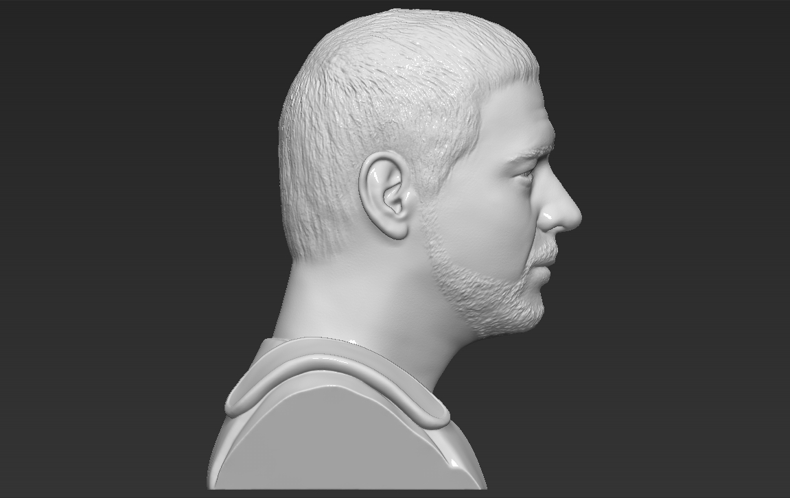 Archivo 3D Gladiador Russell Crowe busto impresión 3D listo formatos ...