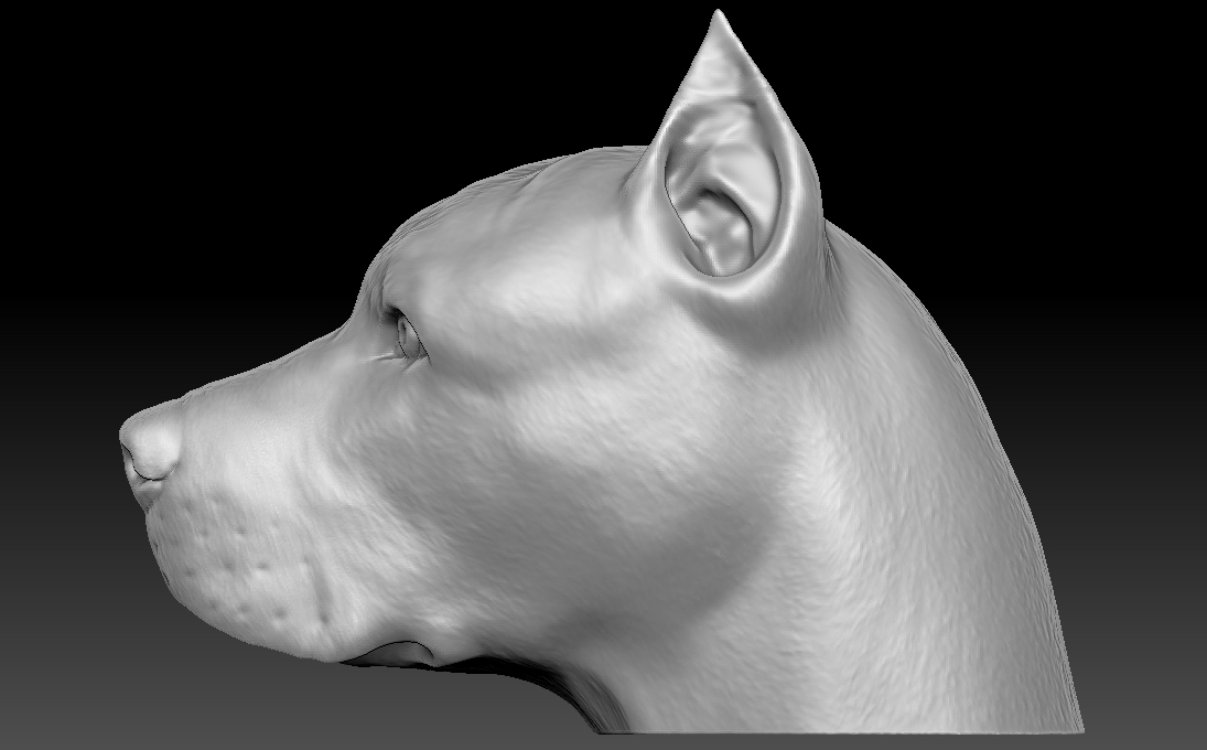 3D file Pitbull head for 3D printing 🐂・3D printer model to download・Cults