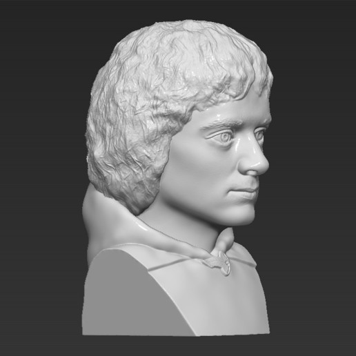 Download STL Frodo Baggins The Lord of the Rings bust 3D printing ready ...